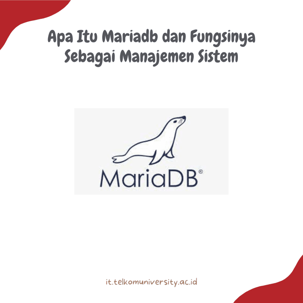Apa Itu Mariadb dan Fungsinya Sebagai Manajemen Sistem